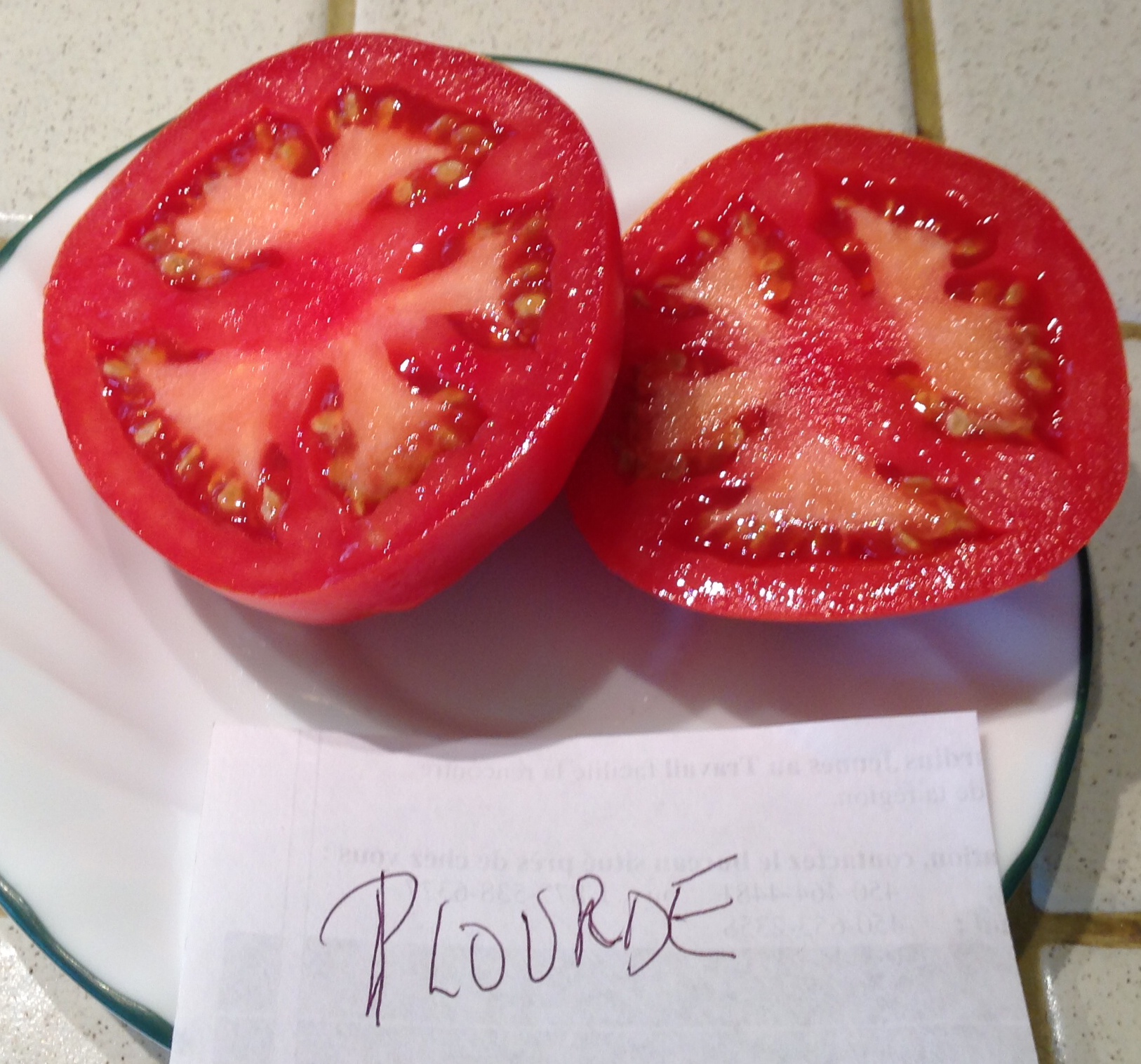 La tomate Plourde (mise à jour) | Potagers d'antan