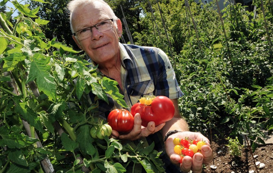 Jean Blouin | Potagers d'antan