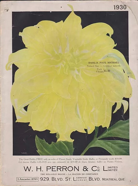 Wilfrid-Henri Perron (1897-1977) | Potagers d'antan