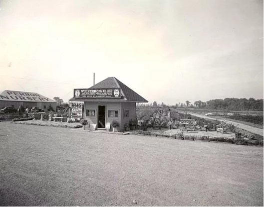 Wilfrid-Henri Perron (1897-1977) | Potagers d'antan