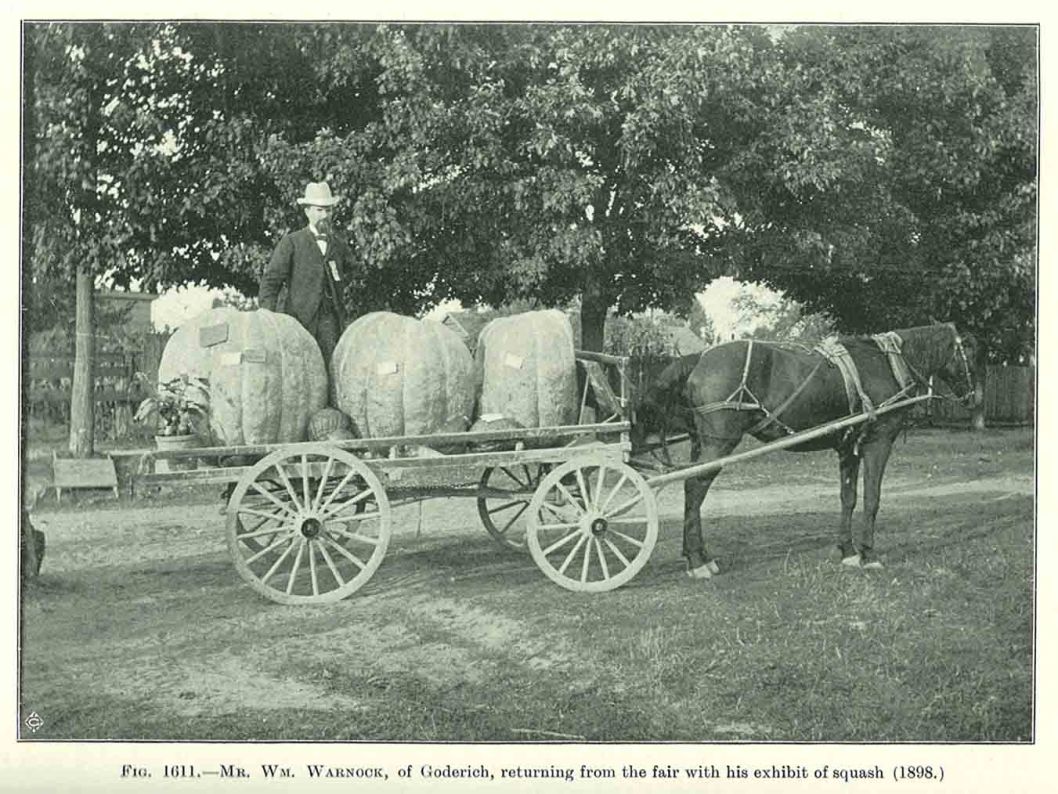 Outils de références | Potagers d'antan